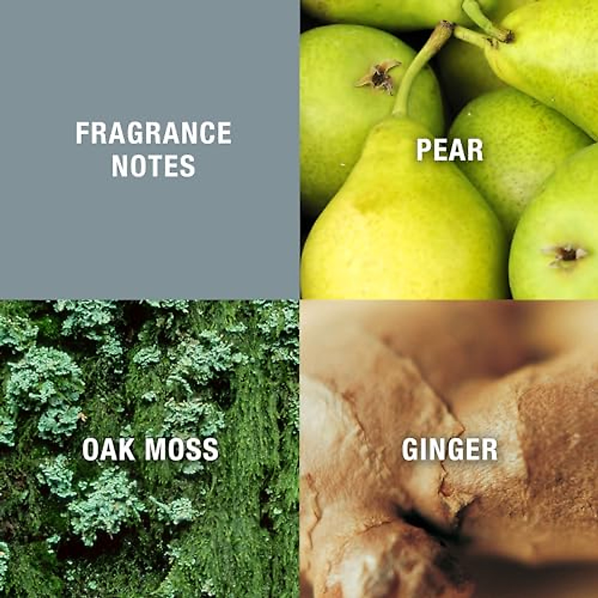 Curve Men's Cologne Fragrance Spray, Casual Day or Night Scent, Curve Crush, 2.5 Fl Oz