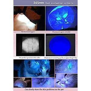 DARKBEAM UV 365nm Light Wood's lamp Blacklight Ultraviolet Flashlight LED Portable Mini Handheld Torch Detector for Dog Urine Pet Stains 370nm Anti-counterfeiting Identification, Resin Curing
