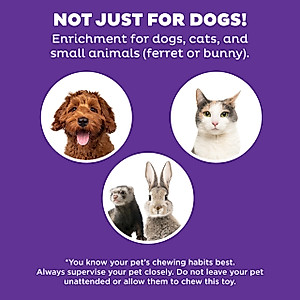 Outward Hound by Nina Ottosson Dog Hide N' Slide Treat Puzzle Enrichment Toy, Level 2 Intermediate, Purple, Composite