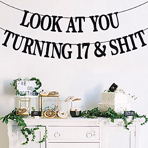 Happy 17th Birthday Banner, Cheers to 17 Years, Young Sweet and Only 17, Teen Boys Girls Funny 17th Birthday Party Decorations Backdrop Gifts, Black Glitter