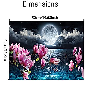 LWZAYS Paint by Numbers for Adults Beginner,DIY Adult Paint by Number Kits On Canvas Moon Acrylic Paint,Drawing Paintwork with Paintbrushes Oil Painting Home Decor 20''X16''