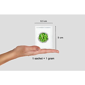 Natural Probiotic Selection Yogurt Starter Cultures - Pack of 3 Freeze-Dried Sachets for Lactobacillus Rhamnosus and L.Gasseri Yogurt (3 sachets Pack)