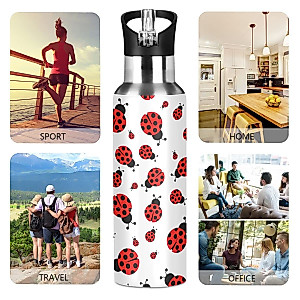 xigua Ladybug Water Bottle Double Walled Stainless Steel Leak Proof Thermo Flask for Sports Gym Cycling Outdoor,33 oz.