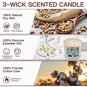 3 Pack Candles Gifts for Women, 13.4Oz Large 3 Wick Scented Candle, Candles for Home Scented, Aromatherapy Gift Set for Birthday, Natural Soy Wax with Essential Oils for Stress Relief