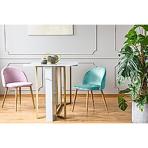 Fangflower Pink Velvet Dining Chairs Set of 2 with Wooden-Like Legs, Upholstered Side Vanity Armless Seat for Living, Makeup Room, Bedrooms, Kitchen, Standard