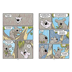 Surviving the Wild: Rainbow the Koala