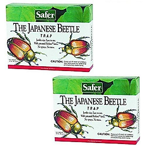 Safer Brand Insect Trap 1 pk