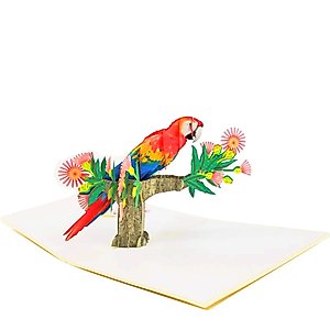 POP CARD EXPRESS Colorful Parrot Pop Up Birthday Card - Happy Birthday Pop Up Card for son, daughter, wife, friends, Nature, Wild Animal, Bird lovers (Colorful Parrot Pop Up Card)