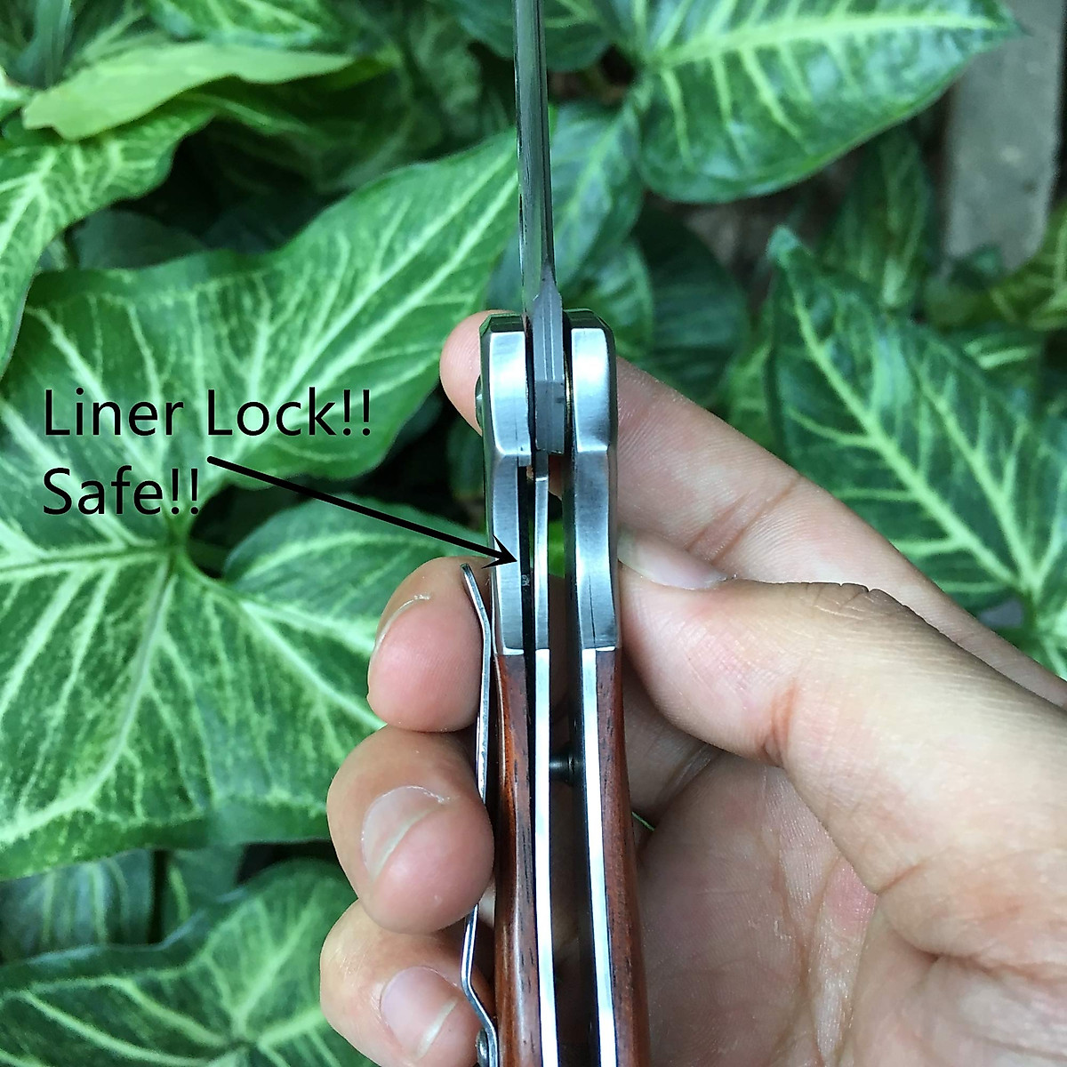 ALBATROSS HGDK007 EDC Sharp Damascus Folding Pocket Knife with Liner Lock-Cote D'Ivoire Sandalwood Handle,Gifts/Collections