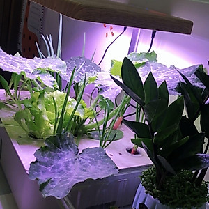 YWNYT 120Pcs Seed Pod Kit for Aerogarden, Hydroponics Garden Accessory Hydroponics Supplies with 30 Grow Basket, 30 Grow Sponges, 30 Pod Labels 30 Grow Domes, Grow Seed Starter Pods