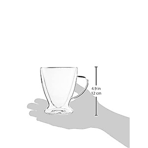 Sister.ly Drinkware Double Wall Glass Coffee Cups, Insulated Glass Coffee Cups, Set of 2, 12 ounces (Clear)