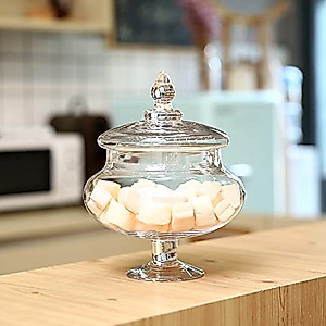 Livejun Glass Apothecary Jars Clear candy Buffet Display Small Elegant Storage Jars Decorative cookies Storage Clear Glass Canisters for Kitchen Wedding Party Set of 2
