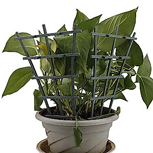 GREENWISH 4pcs 9x3inch Mini Plant Trellis Plastic Garden Plant Support DIY Climbing Trellis Flower Supports Dark Green