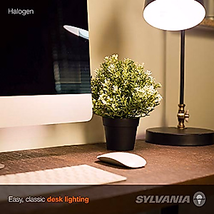 SYLVANIA Halogen A19 Light Bulb, 43W=60W Equivalent, E26 Medium Base, 600 Lumens, 100 CRI, 2700K Soft White - 4 Pack (50005)