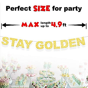 Stay Golden Banner Lucky Birthday Party Decorations Picks for Gold Glitter Happy Birthday Bunting Garland Decor Supplies