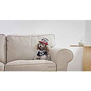 Mogoko Magician Dog Costumes, Pet Halloween Cosplay Jumpsuit with Hat, Adorable Magician Costume, Apparels Warm Outfits Clothes