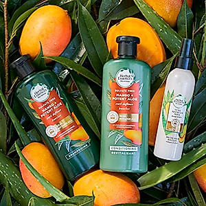 Herbal Essences Bio: Renew Potent Aloe + Mango Conditioner for Curly Hair 13.5 Fl Oz, 5.523 Fl Oz