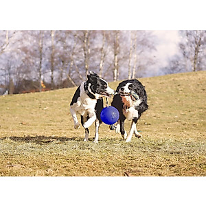 Jolly Pets Romp-n-Roll Rope and Ball Dog Toy, 8 Inches/Large, Blue, Model:608 BL