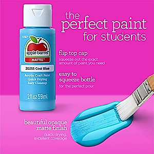 Apple Barrel Art Lessons Paint and Brush Set, 34 pc Kit Including 23 2 fl oz Apple Barrel Acrylic Paint Colors, 1 2 fl oz bottle of Mod Podge Matte, 10 FolkArt Brushes, 6 Video Lessons And More