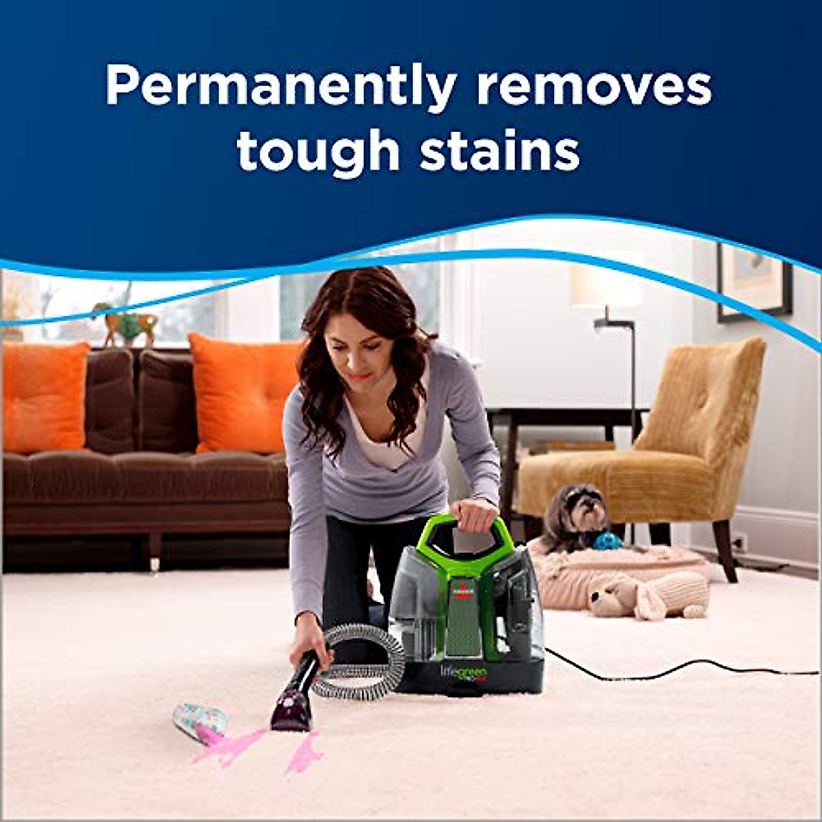 Bissell Little Green ProHeat Pet Full-Size Floor Cleaning Appliances