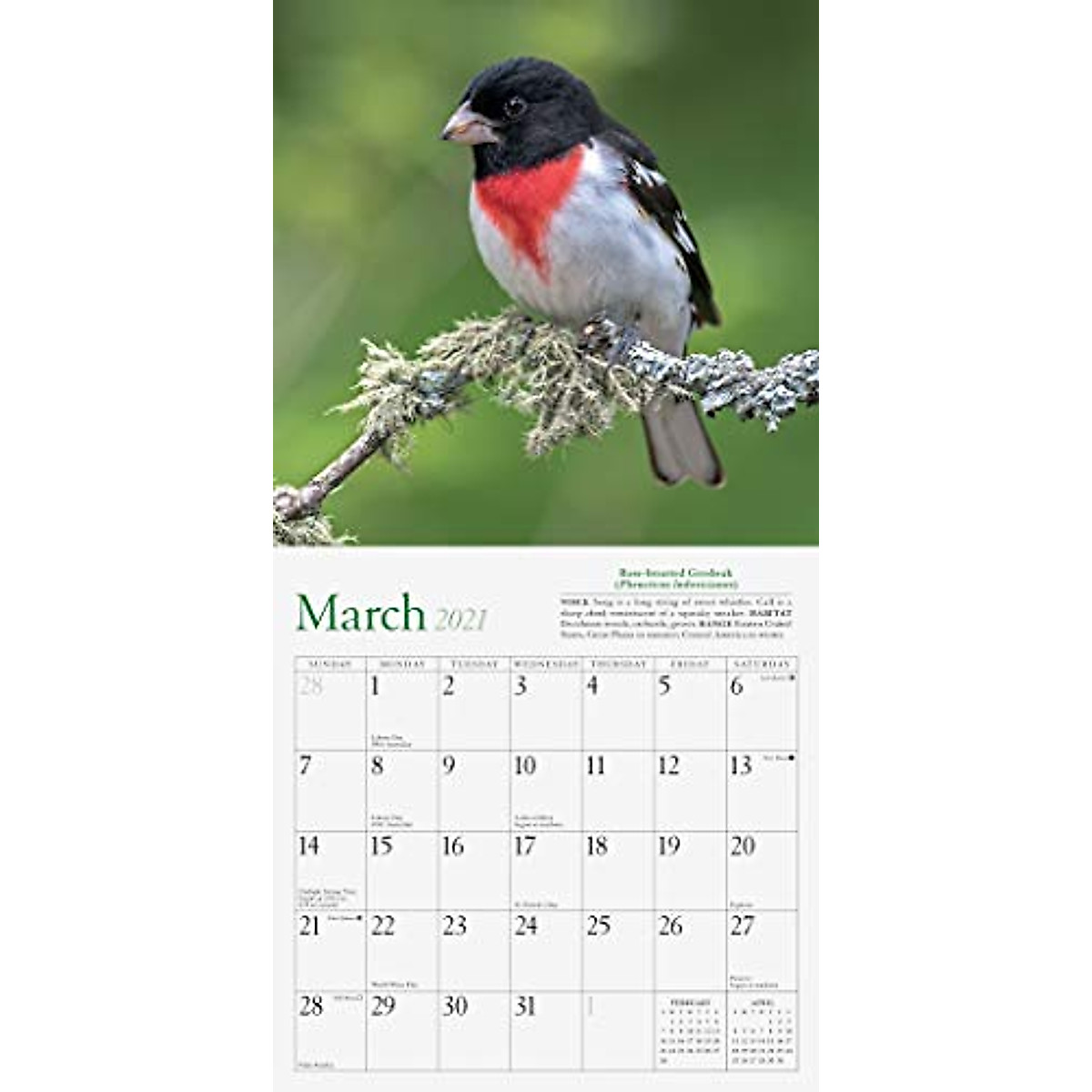 Audubon Songbirds Mini Wall Calendar 2021