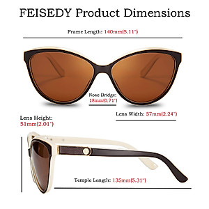 FEISEDY Classic Cateye Polarized Sunglasses for Women 100% UV Protection B2512