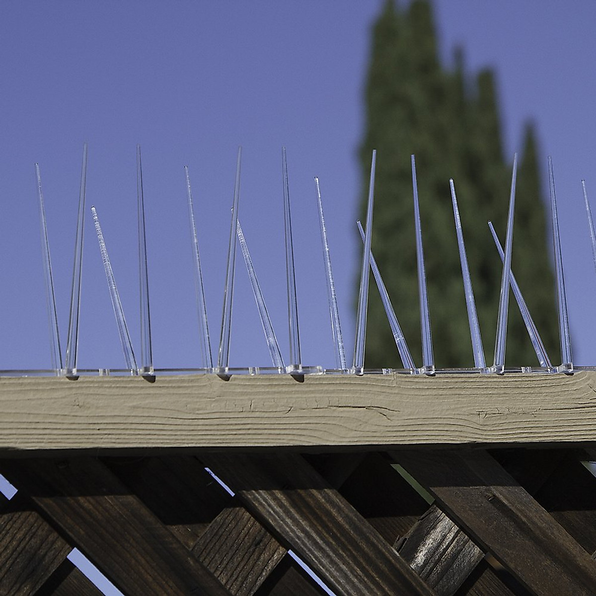 Bird B Gone Enviro-Spike Bird Spike, True 10-Feet, MADE IN THE USA