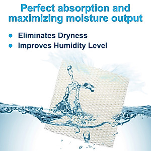 HQRP 2-Pack Humidifier Wick Filter Compatible with Duracraft AC-809 / D09-C/AC-815 / D15C, Honeywell HC-809, Lasko THF15 1115, Kaz WF-815 WF815 Replacement