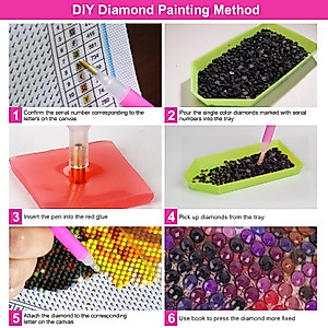 AIMUFAN 5D Large Diamond Art Painting Kits for Adults (ZMT017)