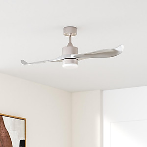 WINGBO 52" DC Ceiling Fan with Lights and Remote, Brushed Nickel and Silver Ceiling Fan, 2 Curved ABS Plastic Blades, 6-Speed DC Motor, Modern Ceiling Fan for Kitchen Bedroom Living Room, ETL Listed