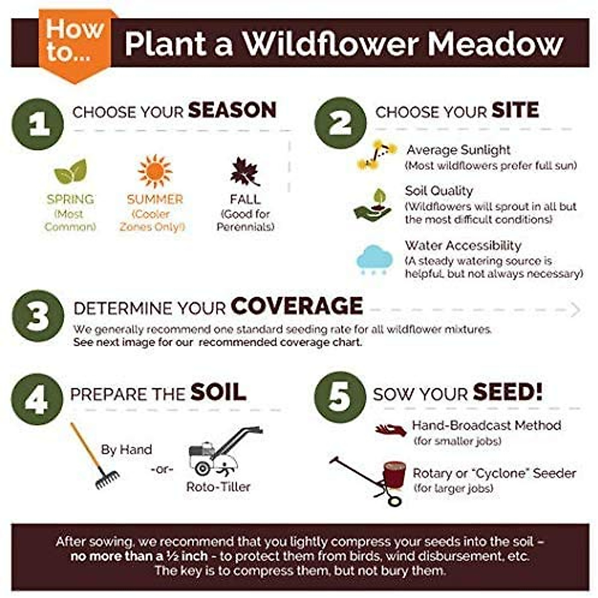 Non GMO Bulk Northeast Wildflower Seed Mix (1 Lb)