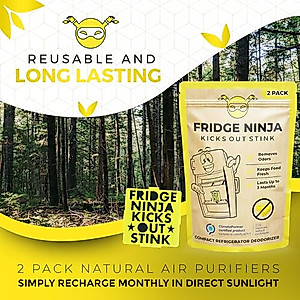 Fridge Ninja Compact Fridge Deodorizer (2 Pack) - More Effective Than Baking Soda - Compact Size Refrigerator Deodorizer Made of Activated Carbon