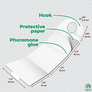 Clothes Moth Traps with Pheromones and Free Cedar Blocks Moth Repellent - Moth Traps for Clothes - Clothing Moth Traps with Pheromones - Closet Moth Traps for House - How to Get Rid of Moths in House