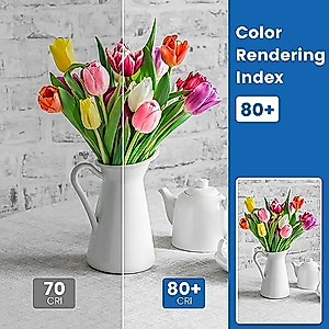 EdisonPar A19 6-Pack LED Light Bulbs, E26 Base 75W Equivalent 1000lumens 4000K Neutral Daylight, Cool White (CWF), Non-Dimmable 9W 15000Hrs Indoor UL