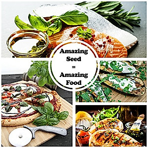 Culinary Herb Seeds Outdoor & Indoor Herb Garden Kit - 10 Herb Garden Seeds for Planting & 8 Instant Soil Pucks - Basil Seeds, Cilantro Seeds, Lavender Seeds, Rosemary Seeds, Thyme Seeds, & More