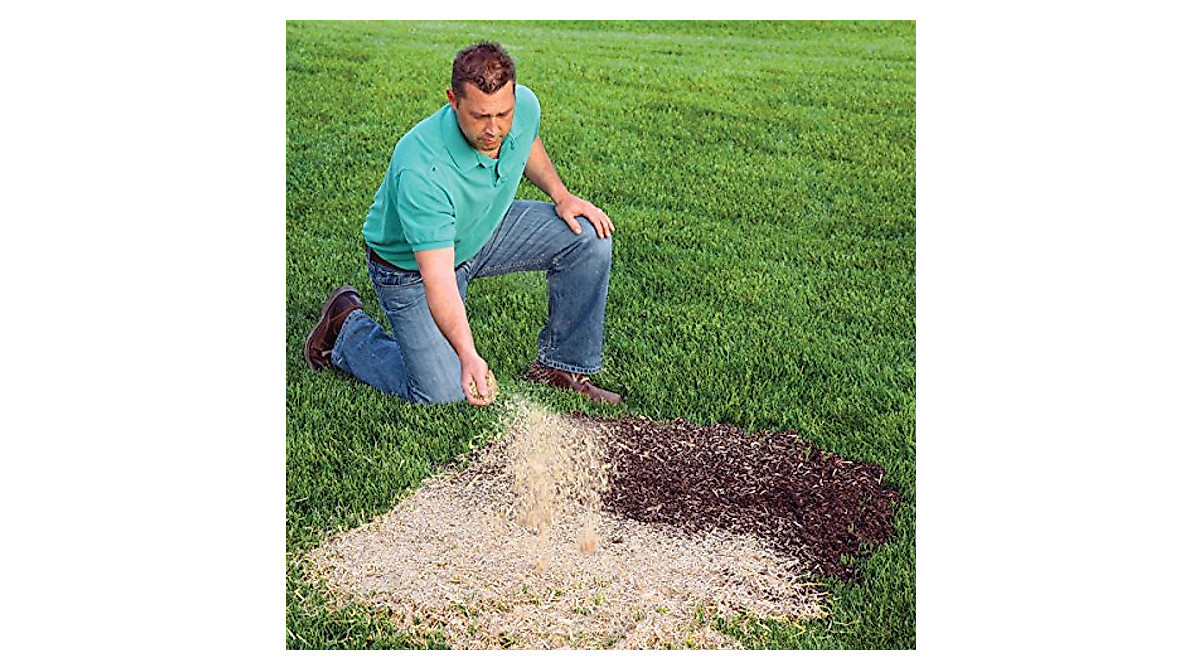 EZ Straw Seeding Mulch with Tack | Biodegradable Grass Seed Protector