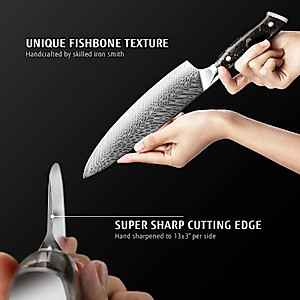 hecef 8 Inch Damascus Steel Chef Knife, Ultra Sharp Professional Kitchen Knife with High Carbon 67 Layers Stainless Steel Ladder Pattern Blade