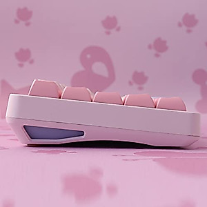 JOMKIZ Keycaps,143 Keys KCA Profile Garden Party Theme Custom Keycaps Set for Cherry MX Gateron Kailh Switches Mechanical Gaming Keyboard