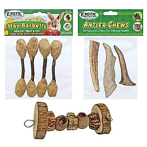 Exotic Nutrition Chew Assortment - Healthy Natural Variety Pack Chew Treat Toys - for Chinchillas, Guinea Pigs, Hamsters, Rabbits, Degus, Prairie Dogs & Other Small Pets