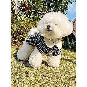 QWINEE 3pcs Dog Dress & Flower Bow & Necklace Set Geometric Princess Dress with Flower Bow Deco Puppy Skirt with Pearls Jewelry Necklace for Small Medium Cats Dogs Kitten Black and White XS