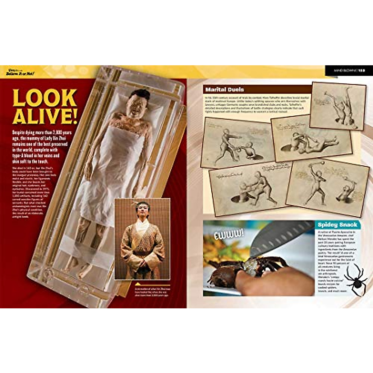 Ripley's Believe It Or Not! Mind Blown (17) (ANNUAL)