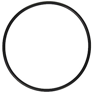 General Electric WS03X10038 Water Filter Housing O-Ring Gasket