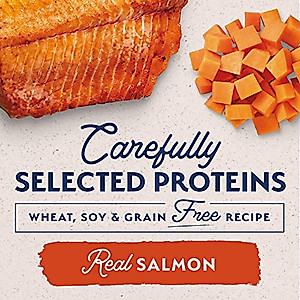 Natural Balance Limited Ingredient Diet Sweet Potato & Fish | Adult Grain-Free Wet Canned Dog Food | 13-oz. Can, (Pack of 12)