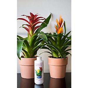 Bromeliad Fertilizer Liquid Plant Food for Bromeliads | Cryptanthus, Guzmania, Neoregelia Aechmea and Tillandsia Air, Aquatic Arts
