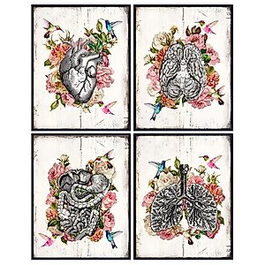 Human Anatomy Floral Hummingbird Wall Art Poster Set - 8x10 Rustic Heart, Brain, Lungs for Doctor, Medical Office, Living Room, Bedroom - Shabby Chic Goth Gift for ER Nurse Practitioner, RN, CNA
