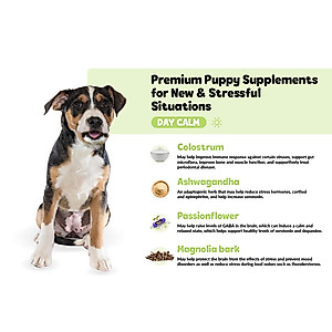 Snuggle Puppy Original Heartbeat Stuffed Toy for Dogs, Pet Anxiety Relief and Calming Aid Bundle with Puppy Bites, Day Calm, 60 Count Calming Chews for New & Stressful Situations.