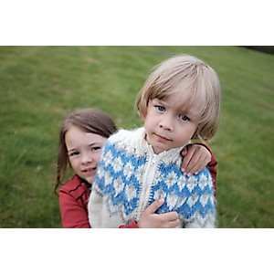 FUJIFILM premium compact digital camera X100T Silver FX-X100T S [International Version, No Warranty]