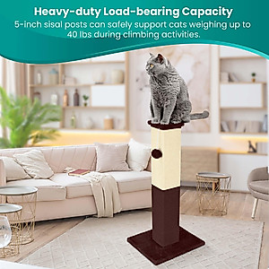 YULOYI Cat Scratching Post, 32 Inch Cat Scratching Post for Large Cats, Cat Scratcher with Nature Sisal, Cat Scratch Post for Indoor Large Cats and Kitten, Brown