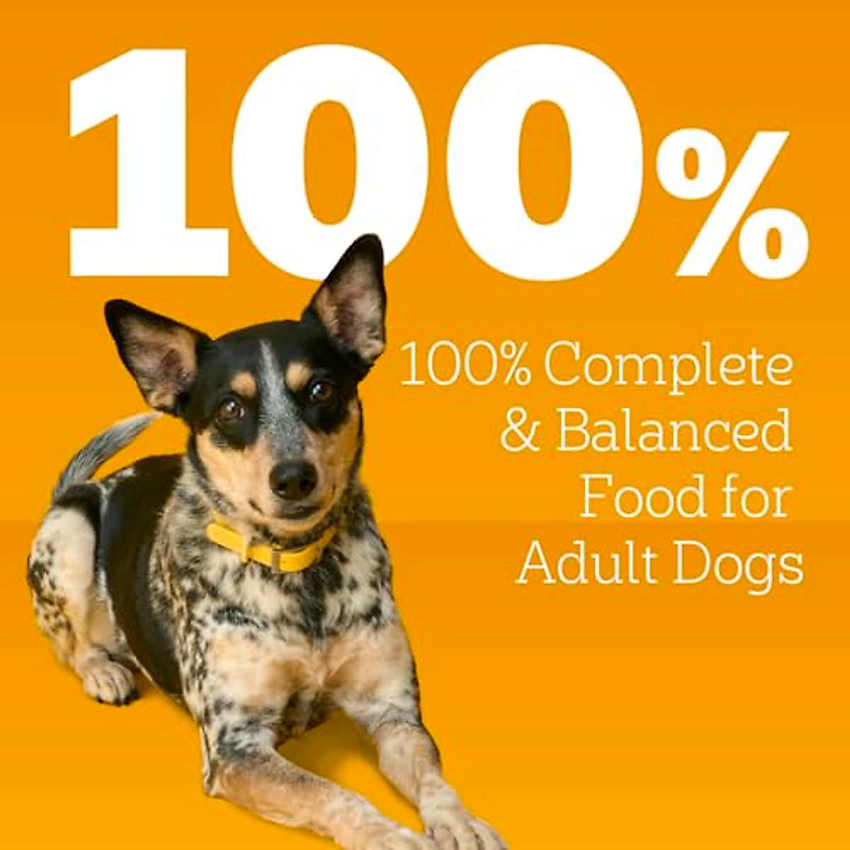 Pedigree Chopped Ground Dinner Weight Management Wet Dog Food Chicken & Rice Dinner in Meaty Juices, 13.2 oz. Cans 12 Count