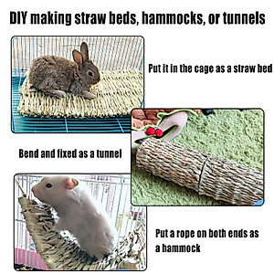 Hamiledyi 18 Pack Bunny Grass Woven Bed Mat Natural Straw Hay Mats Rabbit Handmade Bedding Sleeping Grinding Nesting and Chewing Toy for Guinea Pig Hamster Chinchilla Squirrel Hedgehog